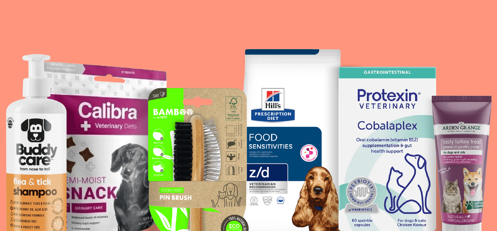 Pet Health Hub | Pet Health & Advice | Pharmacy2U Pet Health